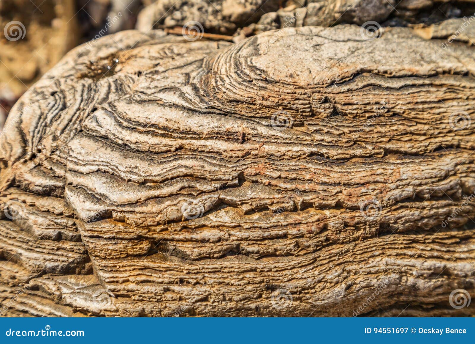 Limestone Texture Background Stock Image - Image of eroded, background ...