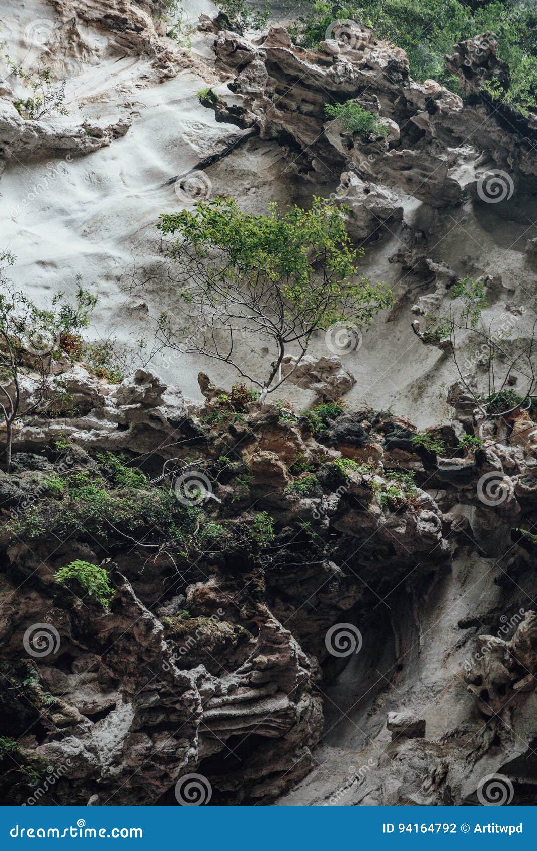 Limestone Texture Inside Batu Caves Near Kuala Lumpur, Malaysia. Stock ...