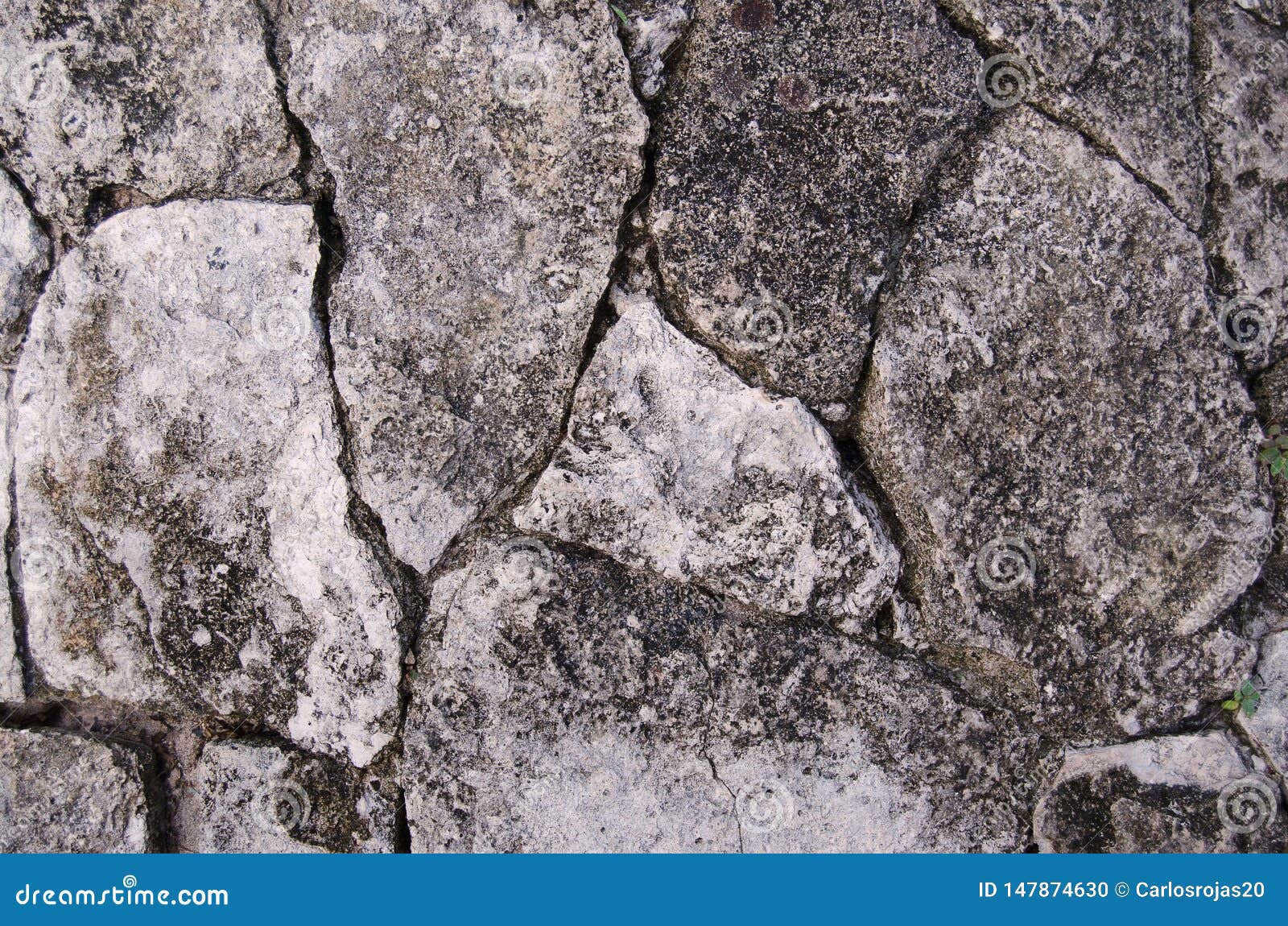 Limestone texture stock photo. Image of granite, closeup - 147874630