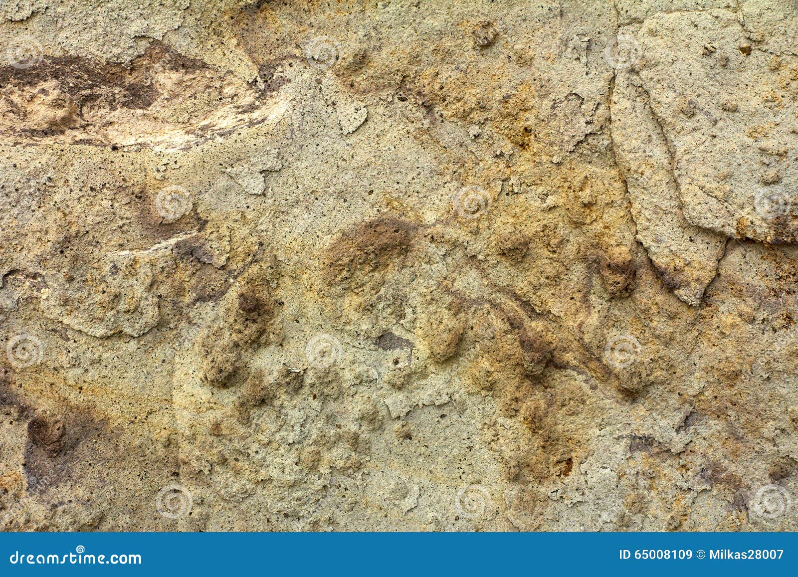 Limestone texture stock image. Image of wall, color, grunge - 65008109