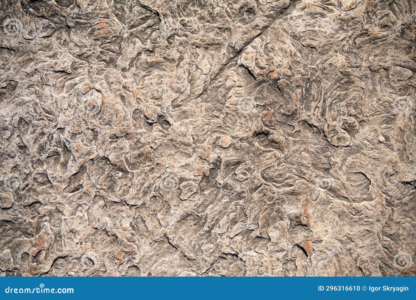 Limestone with Traces of Shells. Shell Texture. Natural Stone ...