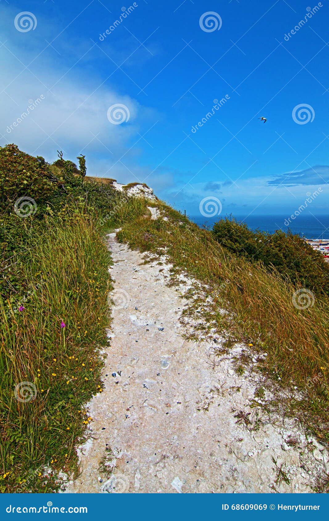 Limestone Walking Path Along the White Cliffs of Dover with Seagull ...