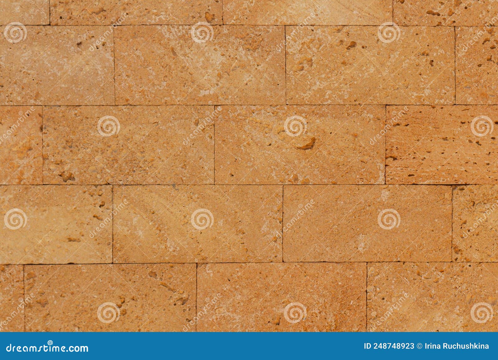 Limestone Wall Texture with Seashells. Beautiful Vintage Wall Stock ...