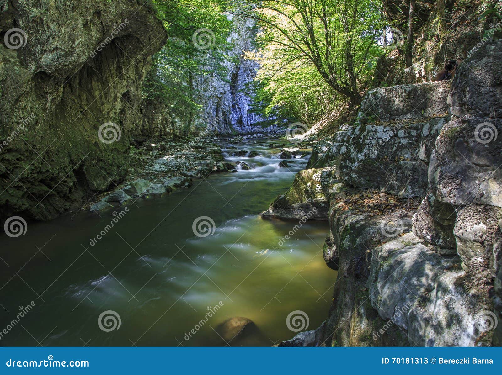 Limestone Walls and River at the Bottom Stock Image - Image of rocks ...