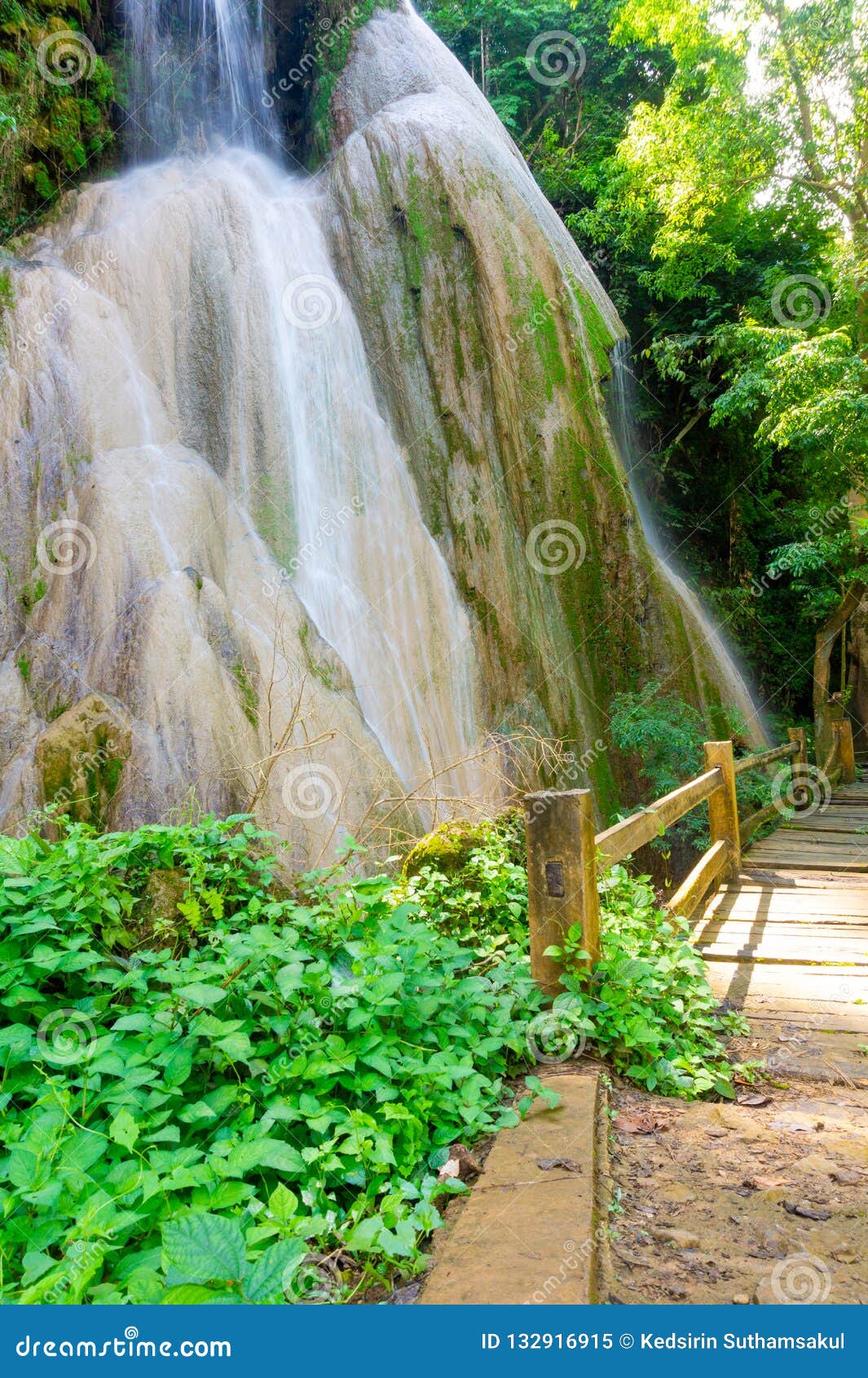 Limestone Waterfall in Green Forest Stock Image - Image of forest, soft ...