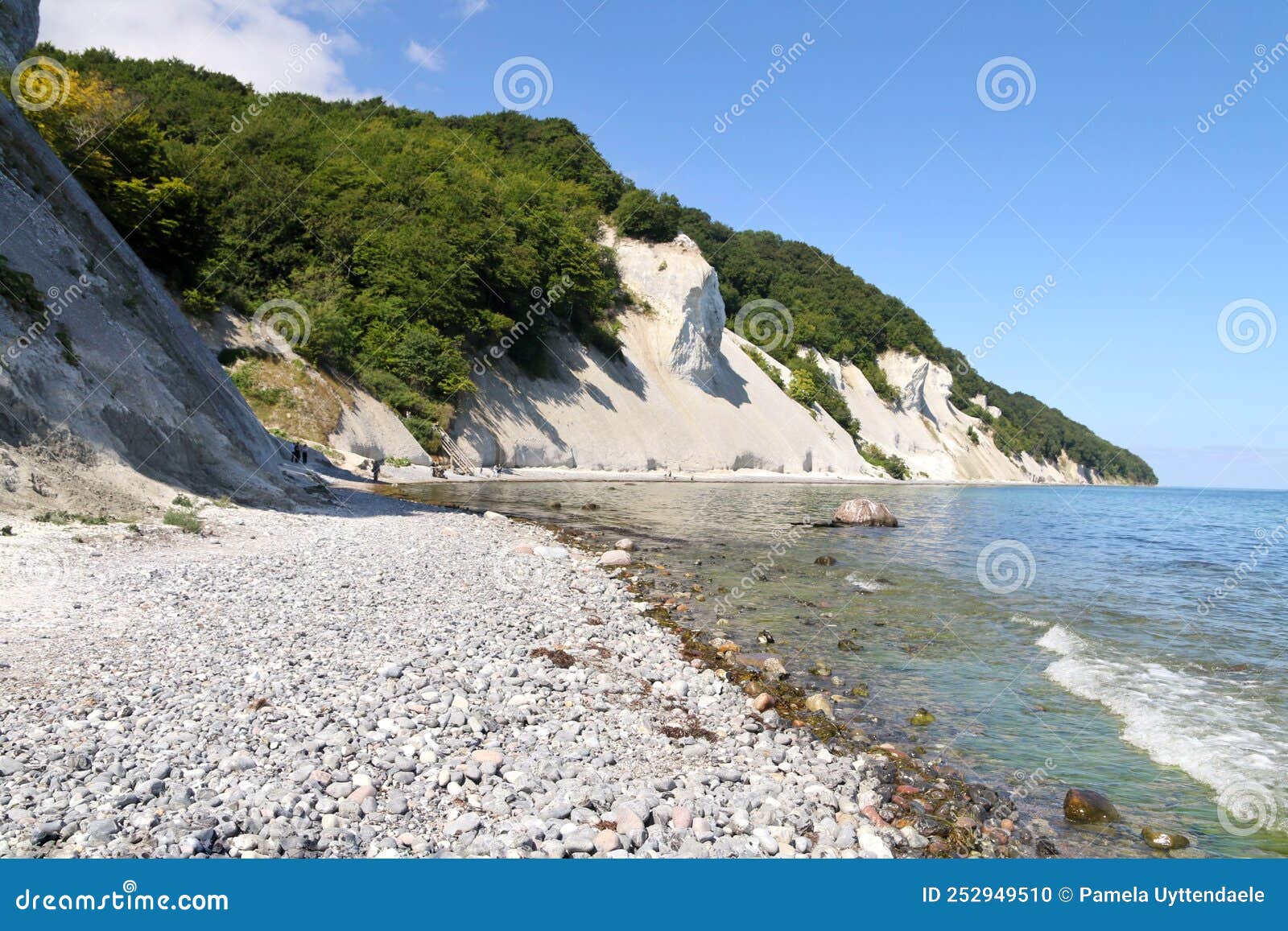 Limestone White Cliffs Off the Danish Coast at Mons Klint Stock Photo ...