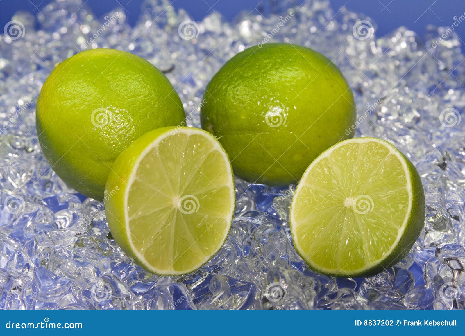 Limette-2008- foto de stock. Imagem de fatia, meio, gelo - 8837202