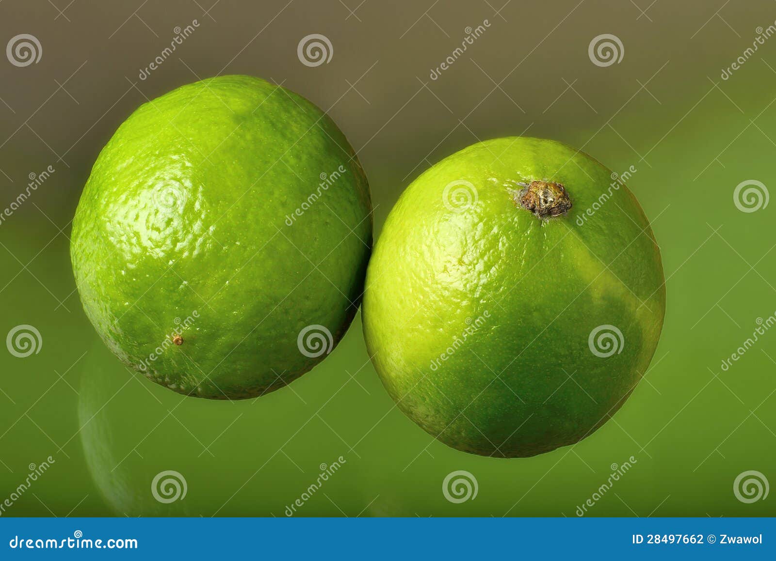 Limette stock photo. Image of health, fruit, life, juice - 28497662