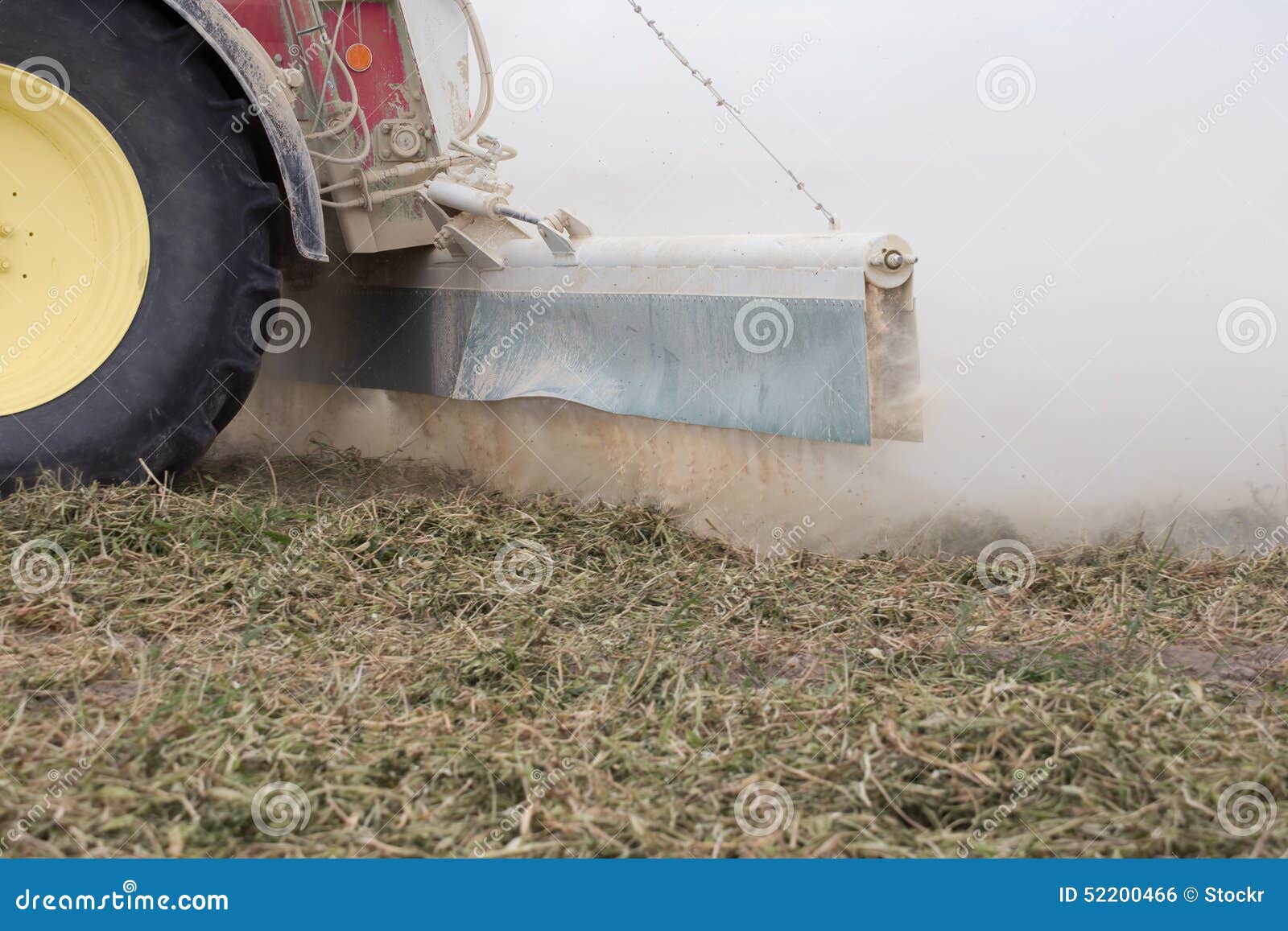Liming stock photo. Image of grow, rural, newly, mountains - 52200466