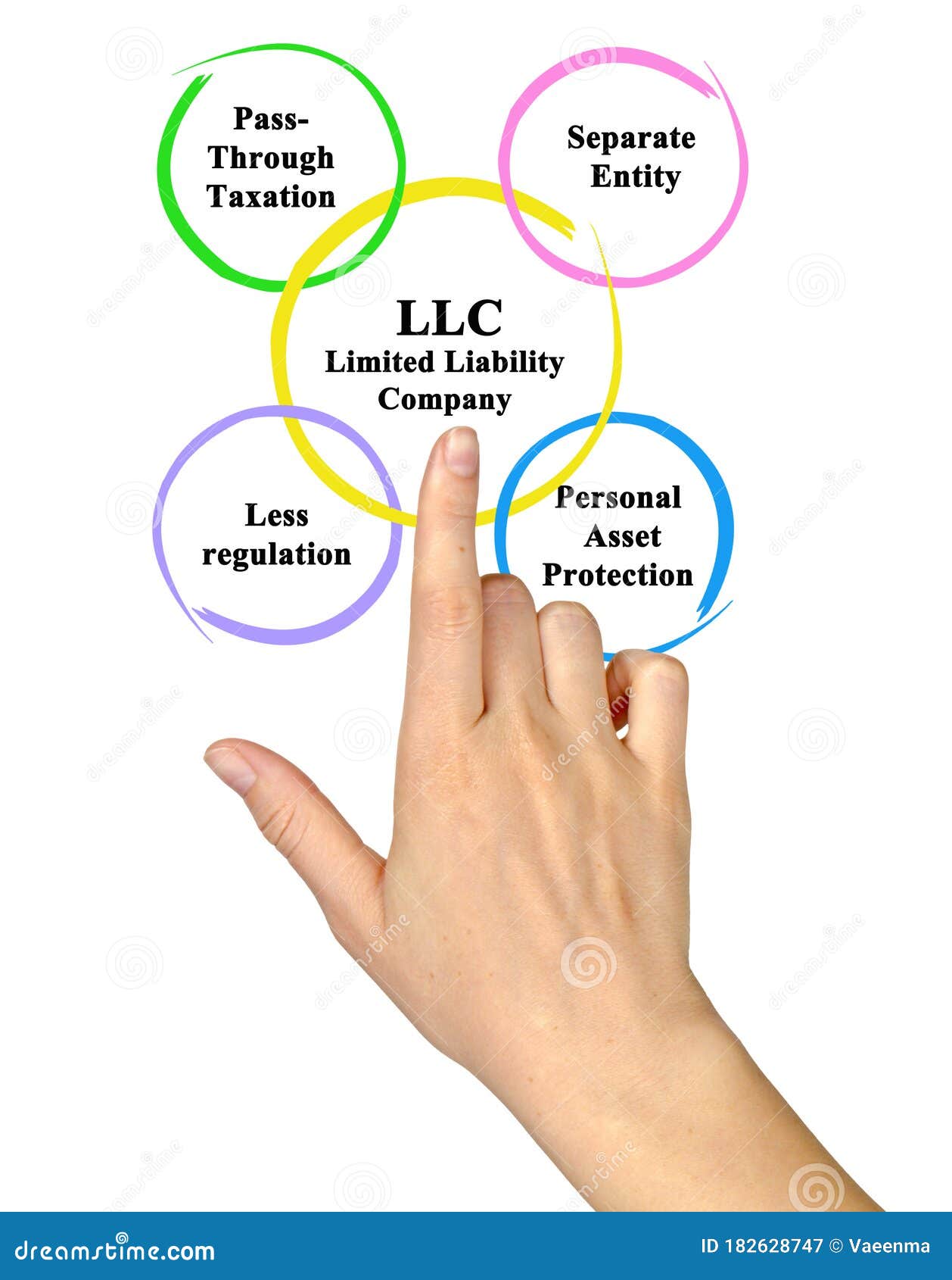 Limited Liability Company