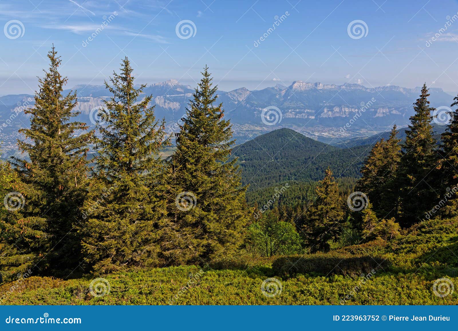 Limits of Forest on the Mountains Slopes with Chartreuse Mountain Range ...