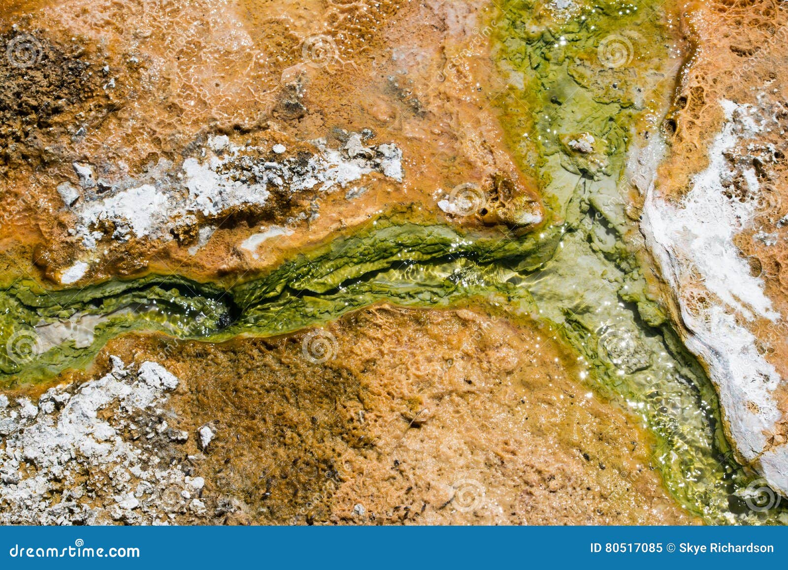 Limo verde en rocas imagen de archivo. Imagen de amarilla - 80517085