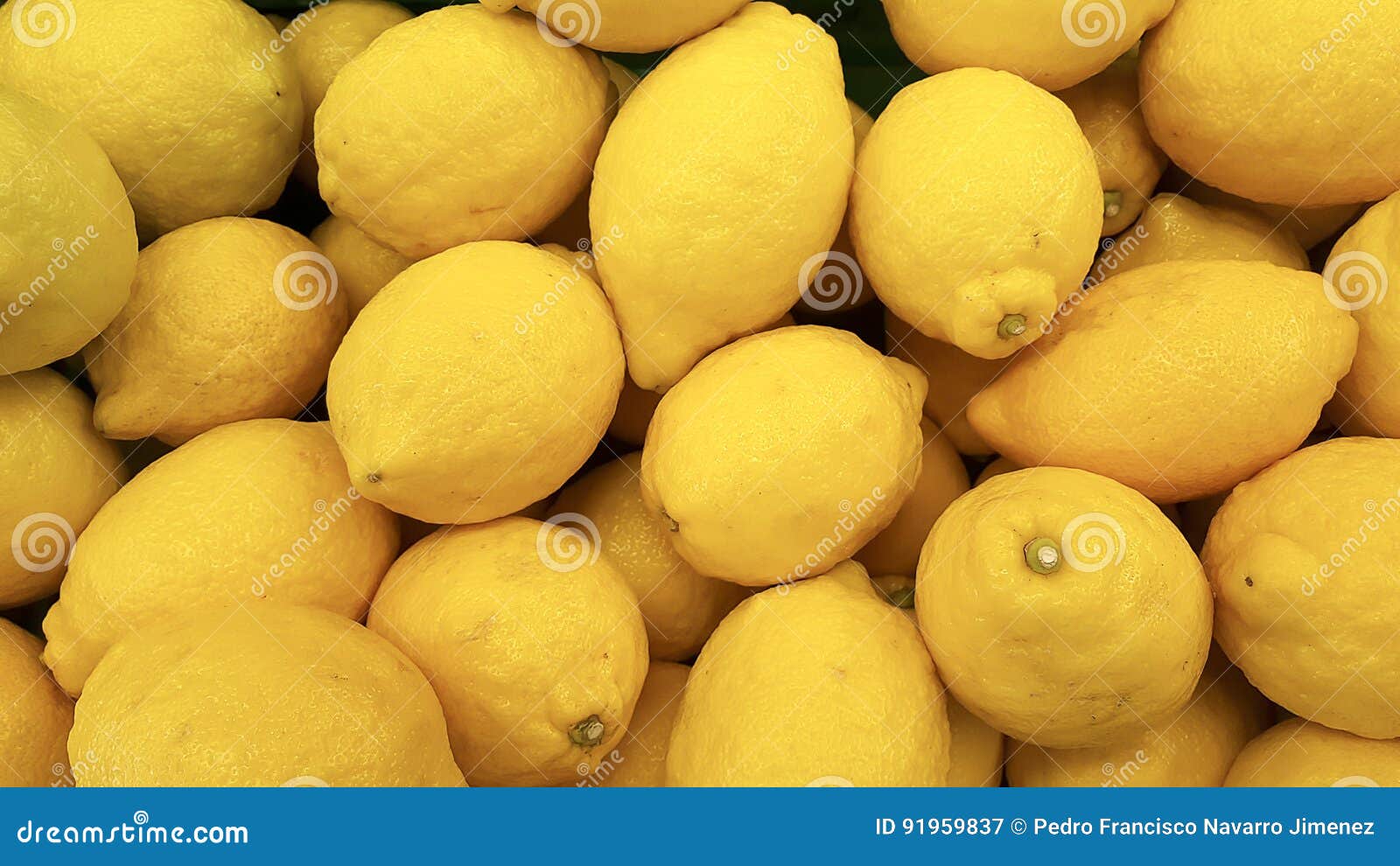 Limon lemon citrus stock image. Image of tree, citron - 91959837