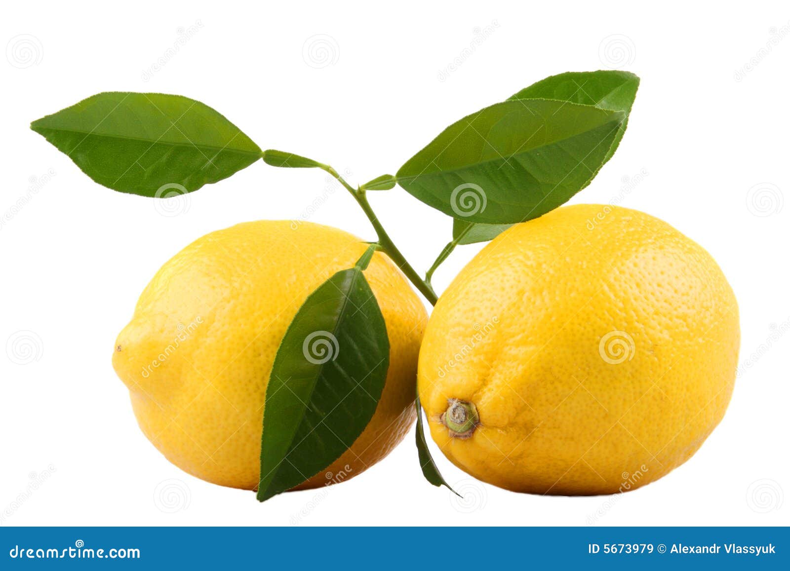 Limone immagine stock. Immagine di frutta, consumo, maturo - 5673979