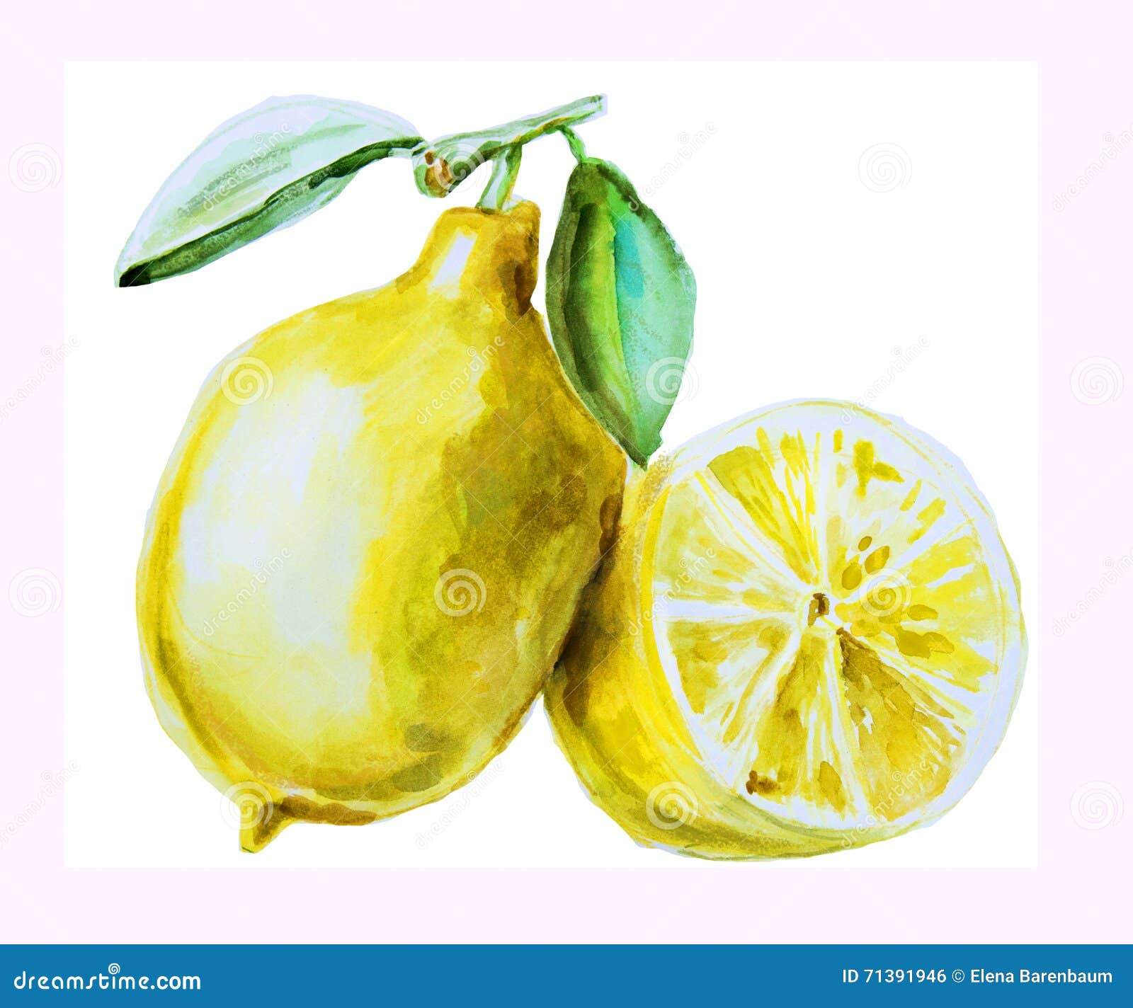 Limone Disegnato a Mano Dell'acquerello Illustrazione di Stock ...