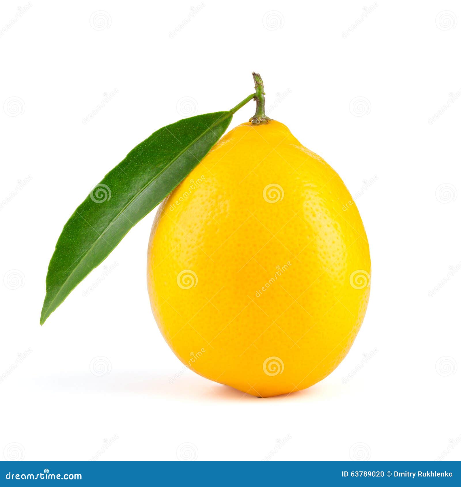 Limone Giallo Con La Foglia Fotografia Stock - Immagine di vitamina ...