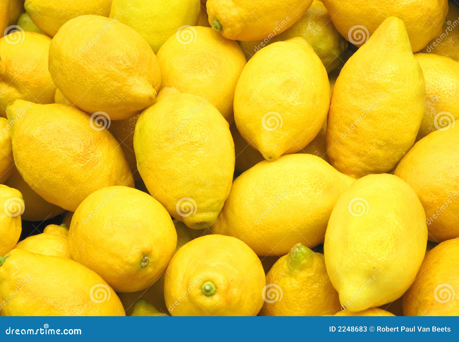 Limones imagen de archivo. Imagen de comer, mojado, amargo - 2248683