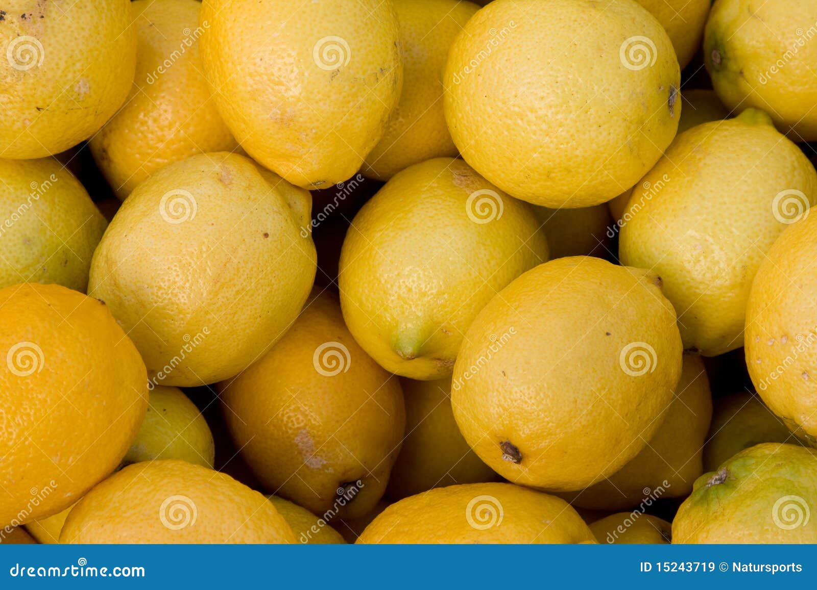 Limoni immagine stock. Immagine di giallo, vitamina, acido - 15243719