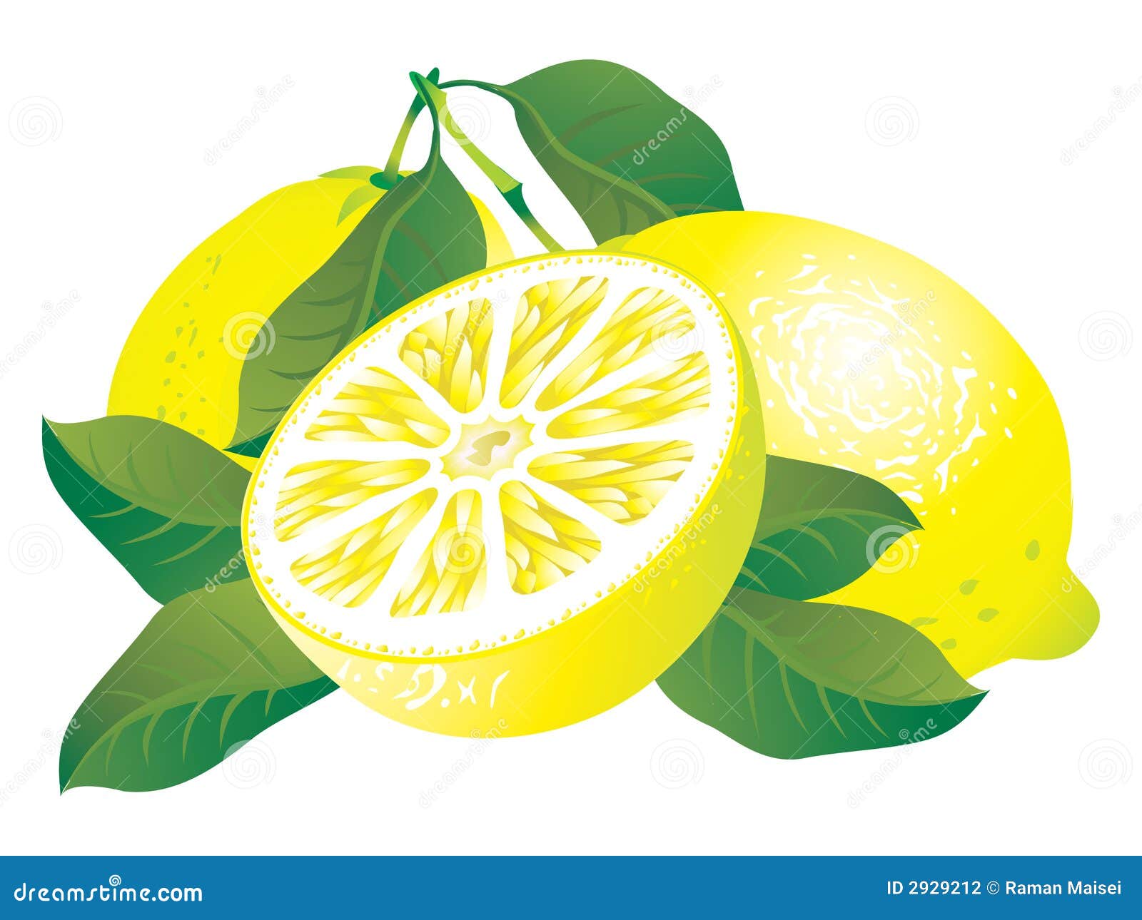 Limoni illustrazione vettoriale. Illustrazione di giallo - 2929212