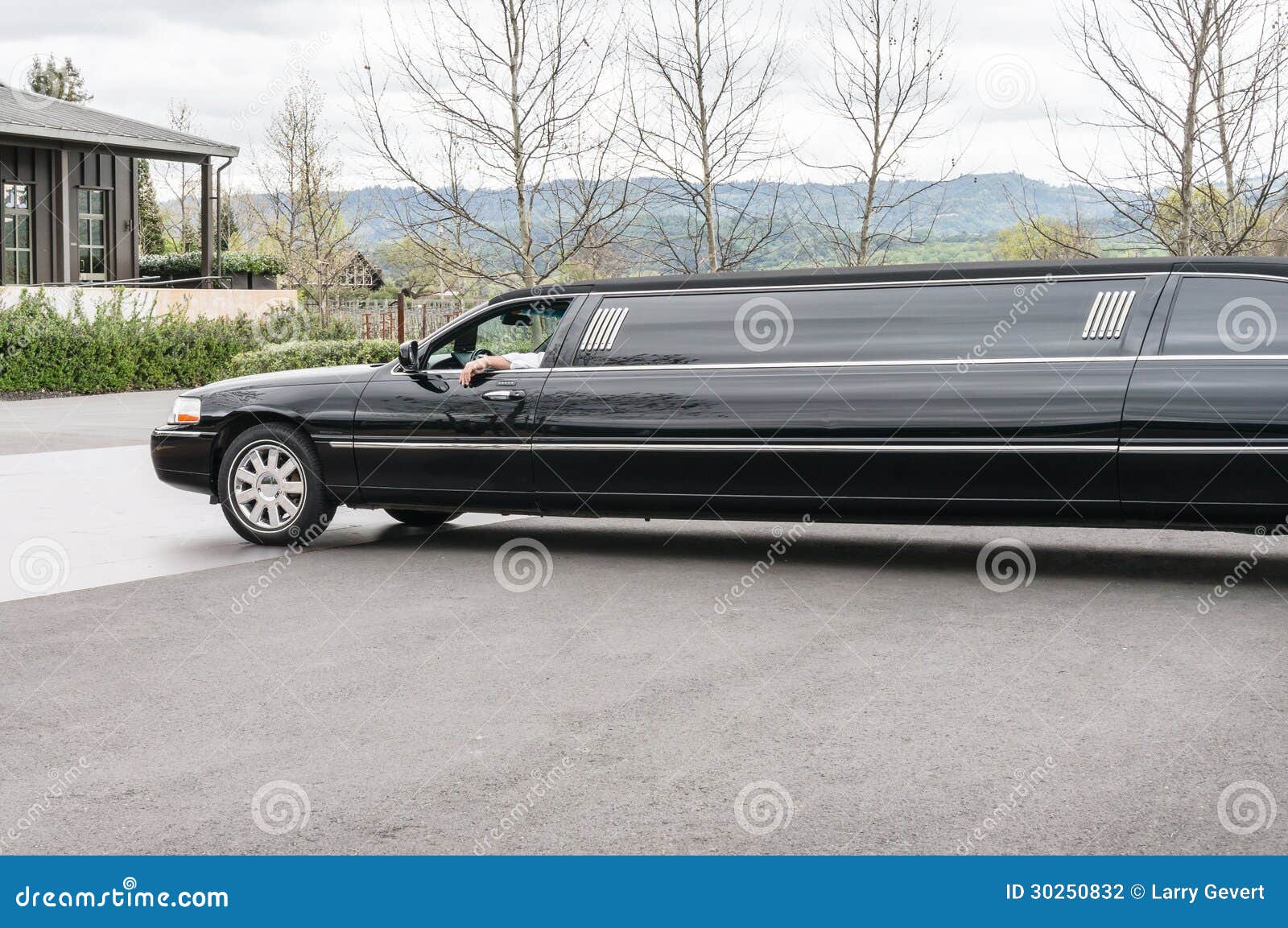 Driver Waits in His Limousine Stock Photo - Image of rich, expensive ...