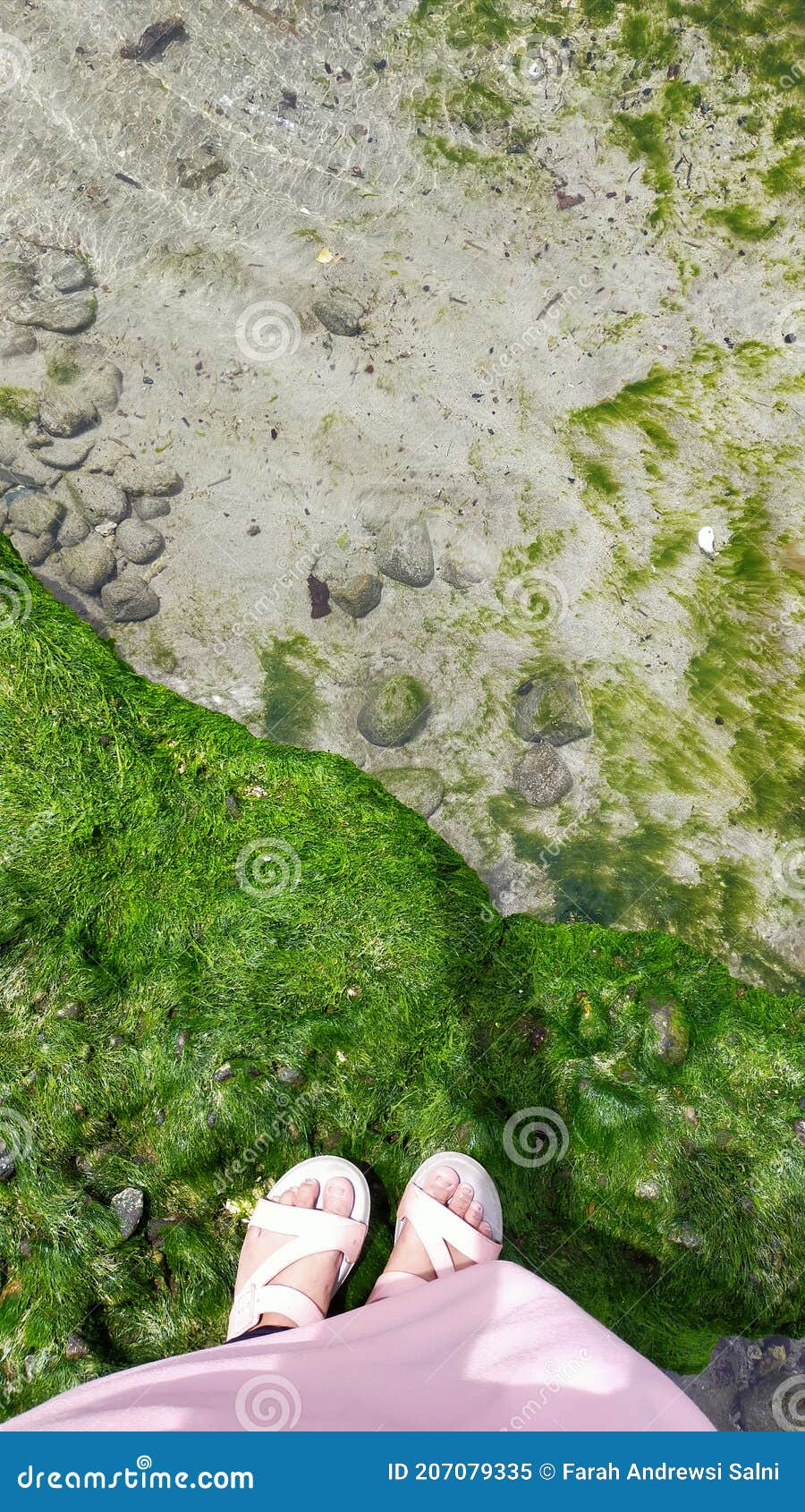 Limpid green stock image. Image of clear, green, beach - 207079335