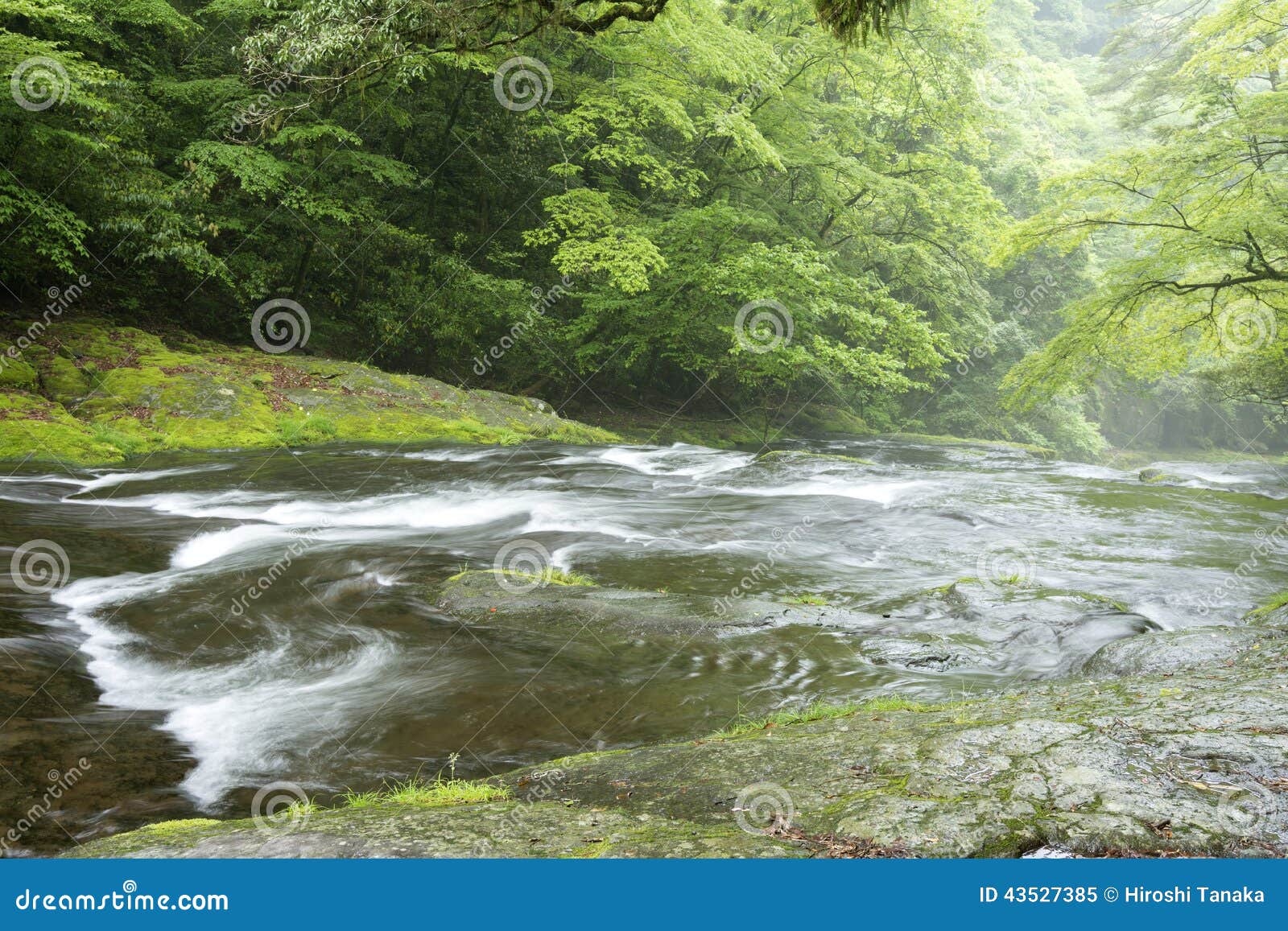 Limpid stream stock image. Image of freshness, refreshing - 43527385