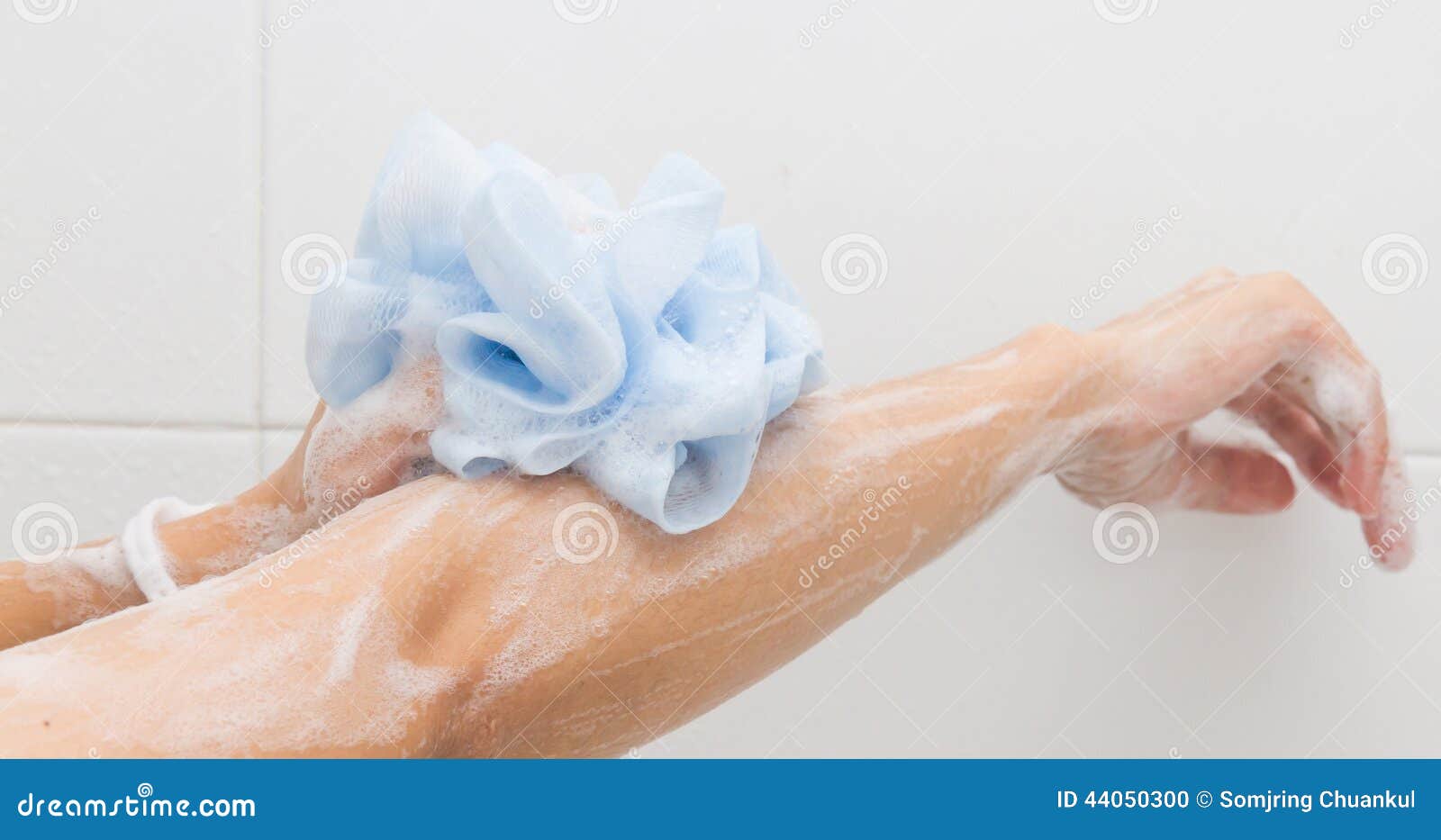 imágenes comunes del Limpie - los derechos de la transferencia directa ...