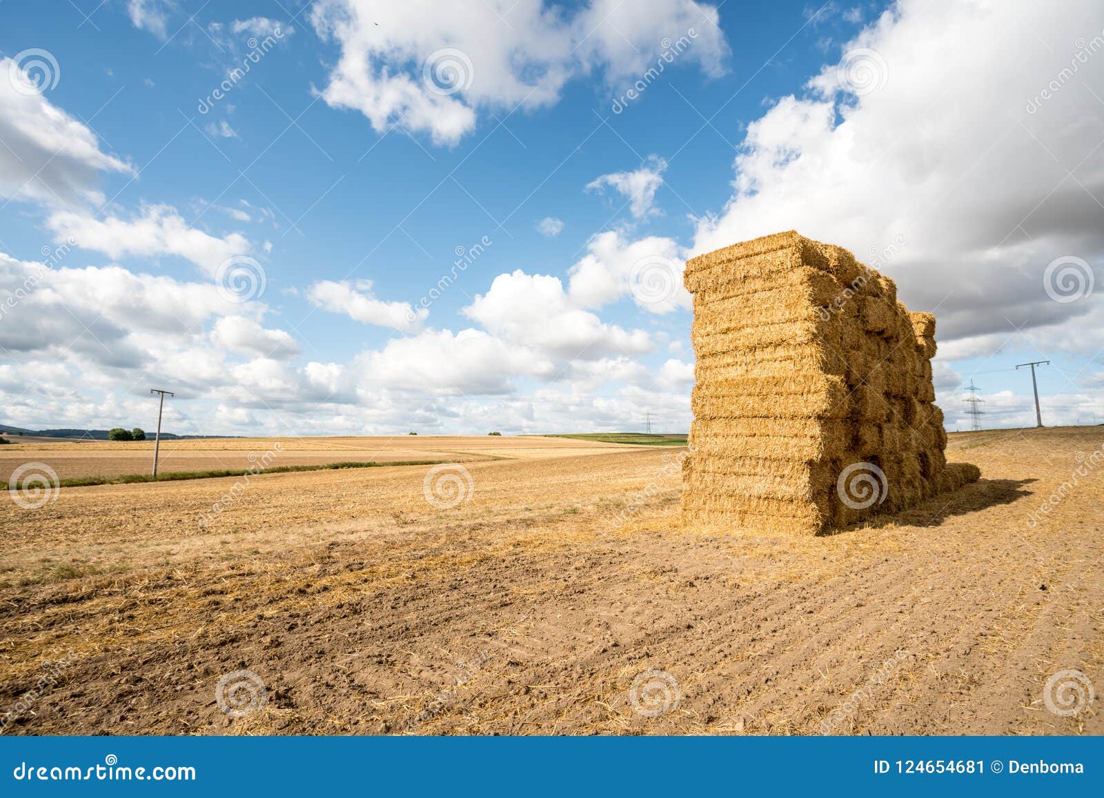 An hay bale stock image. Image of bale, countryside - 124654681