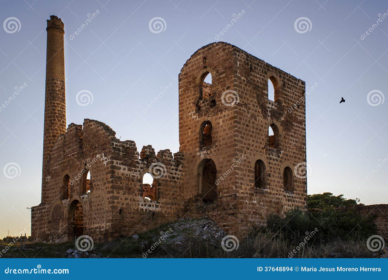 The Linares Mine Ruins stock photo. Image of bird, ruins - 37648894
