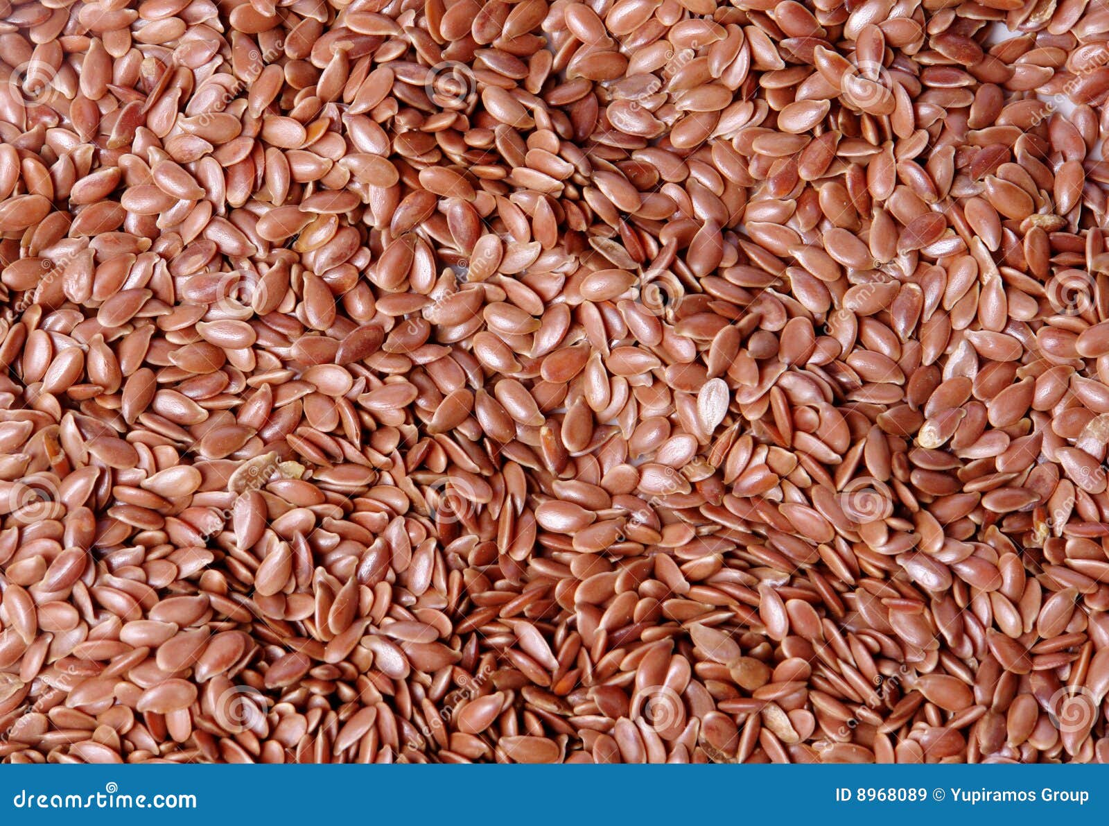 Linaza imagen de archivo. Imagen de linaza, crudo, estructura - 8968089