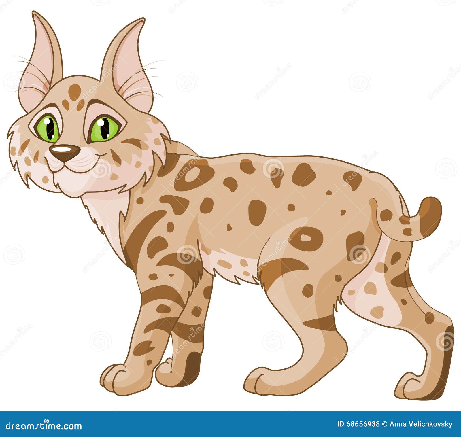 Lince ilustração do vetor. Ilustração de gatinho, desorganizado - 68656938