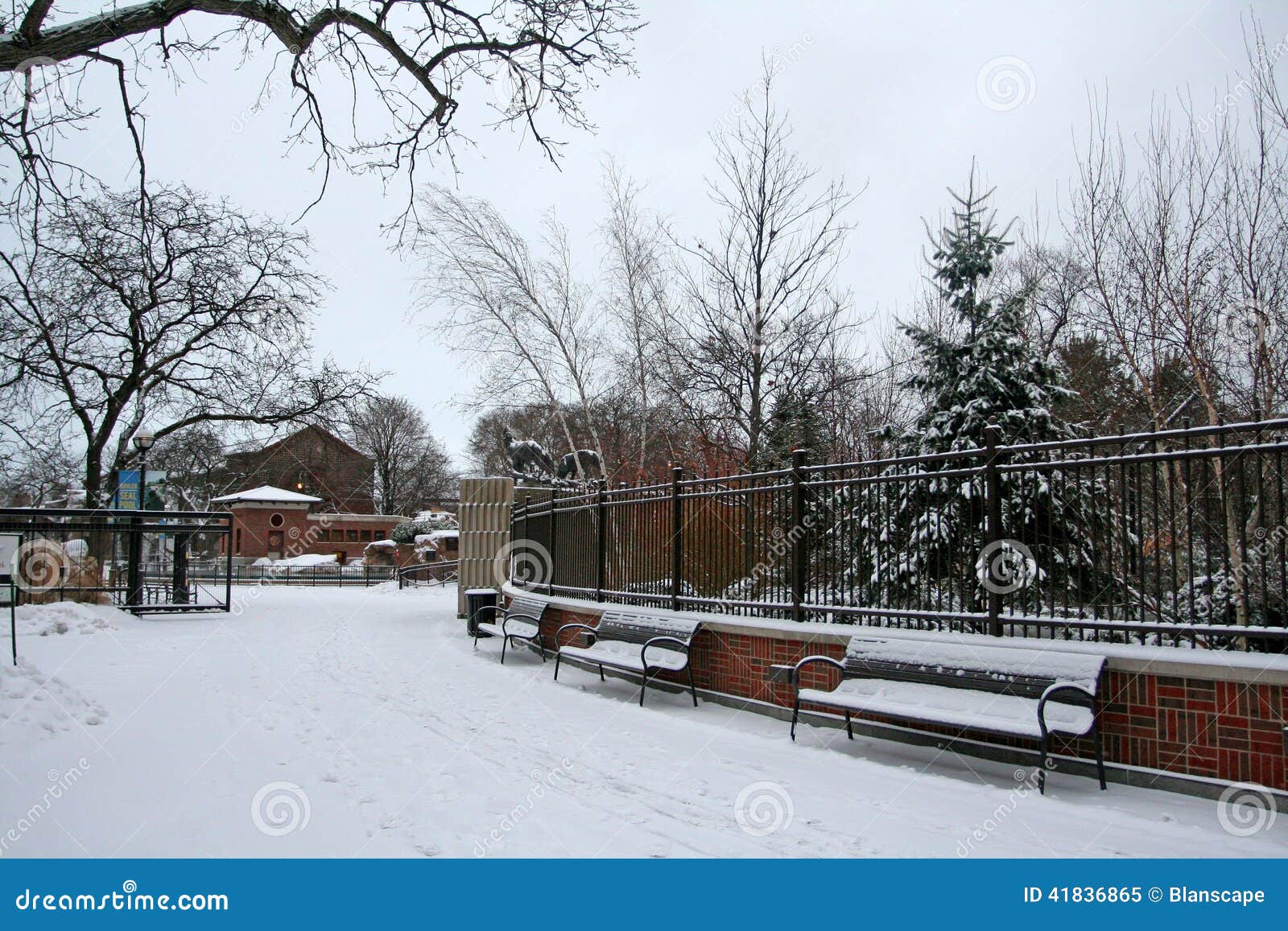 Lincoln Park with Snow at Winter Stock Image - Image of lakeview ...