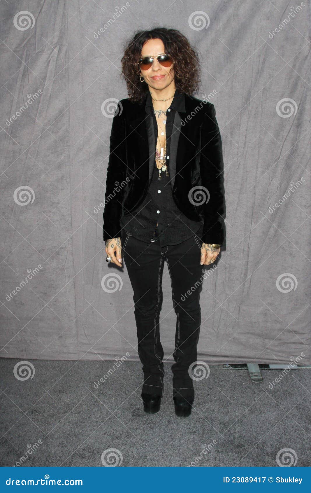 Linda Perry editorial photography. Image of critics, perry - 23089417