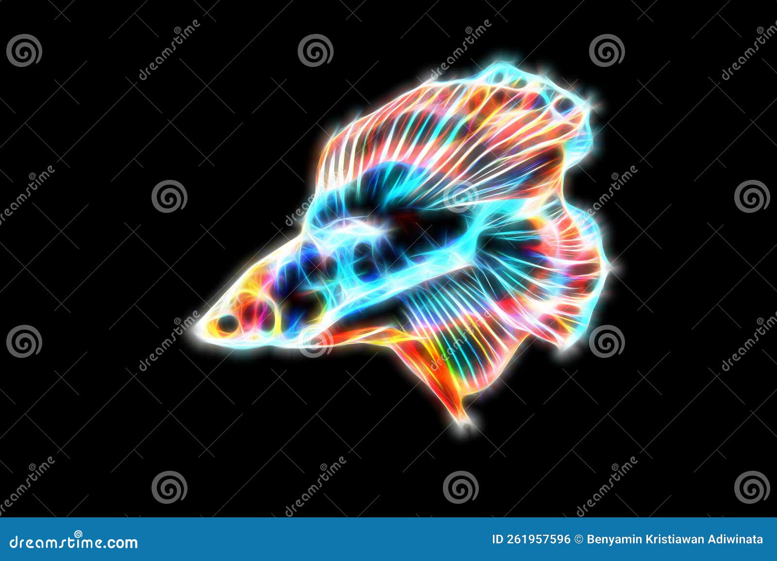 Lindas Cores Combinadas De Peixes-betta De Meia Lua Foto de Stock ...