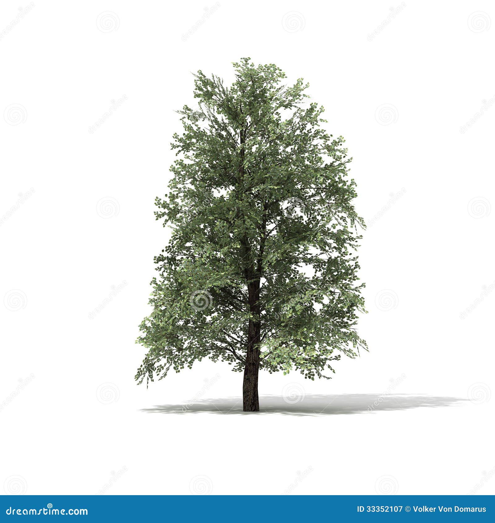 Linde stock illustration. Illustration of rendered, large - 33352107