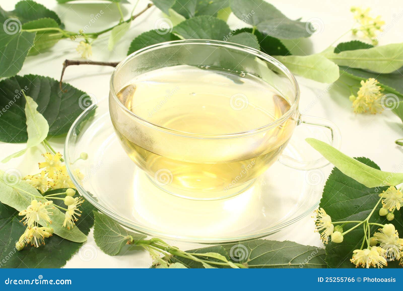 Linden blossom tea stock photo. Image of leaves, health - 25255766