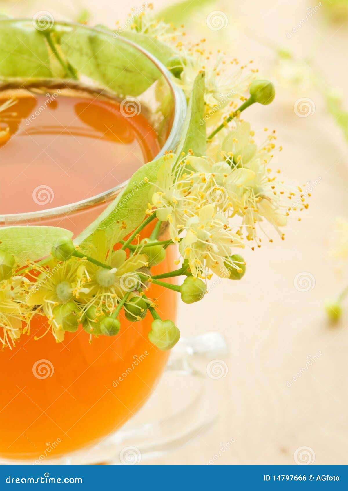 Linden tea stock photo. Image of glass, branch, blossom - 14797666