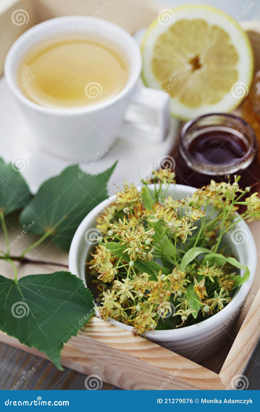 Linden tea stock photo. Image of drink, single, plant - 21279076