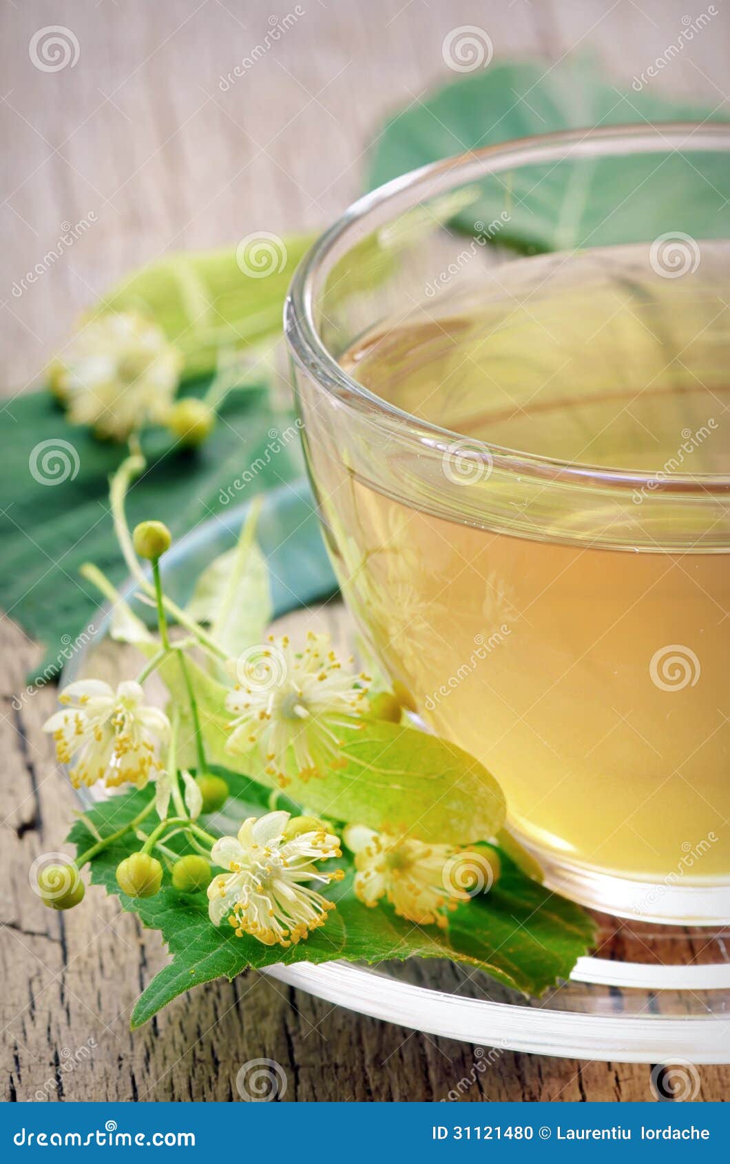 Linden tea and flowers stock photo. Image of drink, medicinal - 31121480