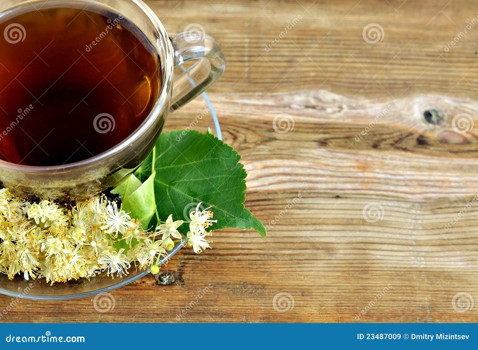 Linden tea. Tilia. stock image. Image of branches, herbs - 23487009