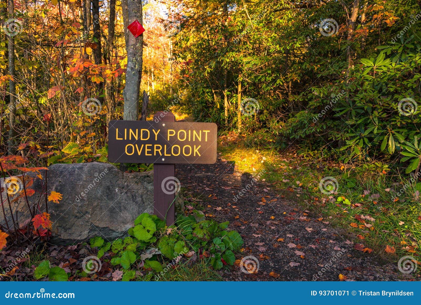 Lindy Point Overlook Tecken Fotografering för Bildbyråer - Bild av skog ...