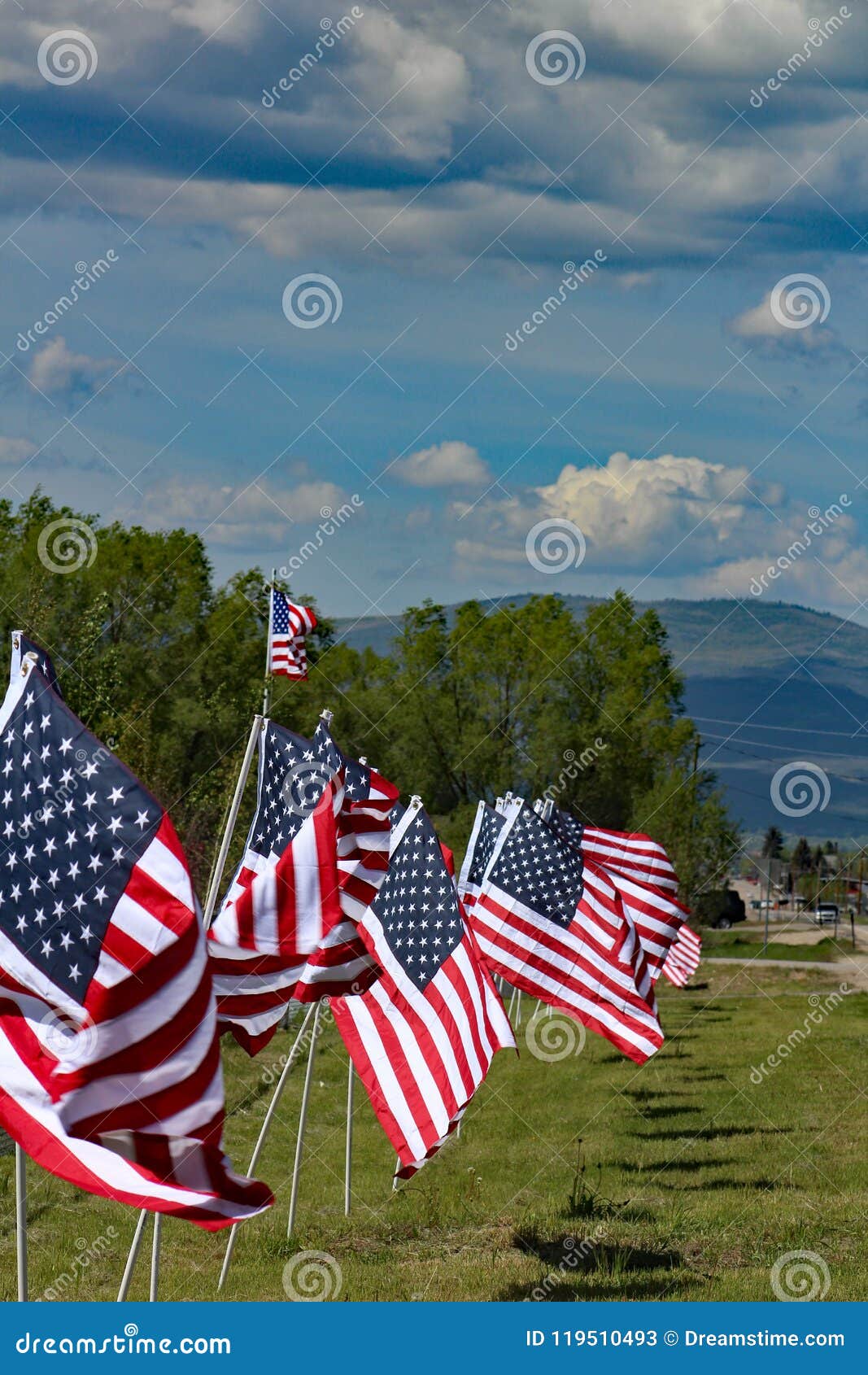 Line of American Flags stock image. Image of grass, pride - 119510493