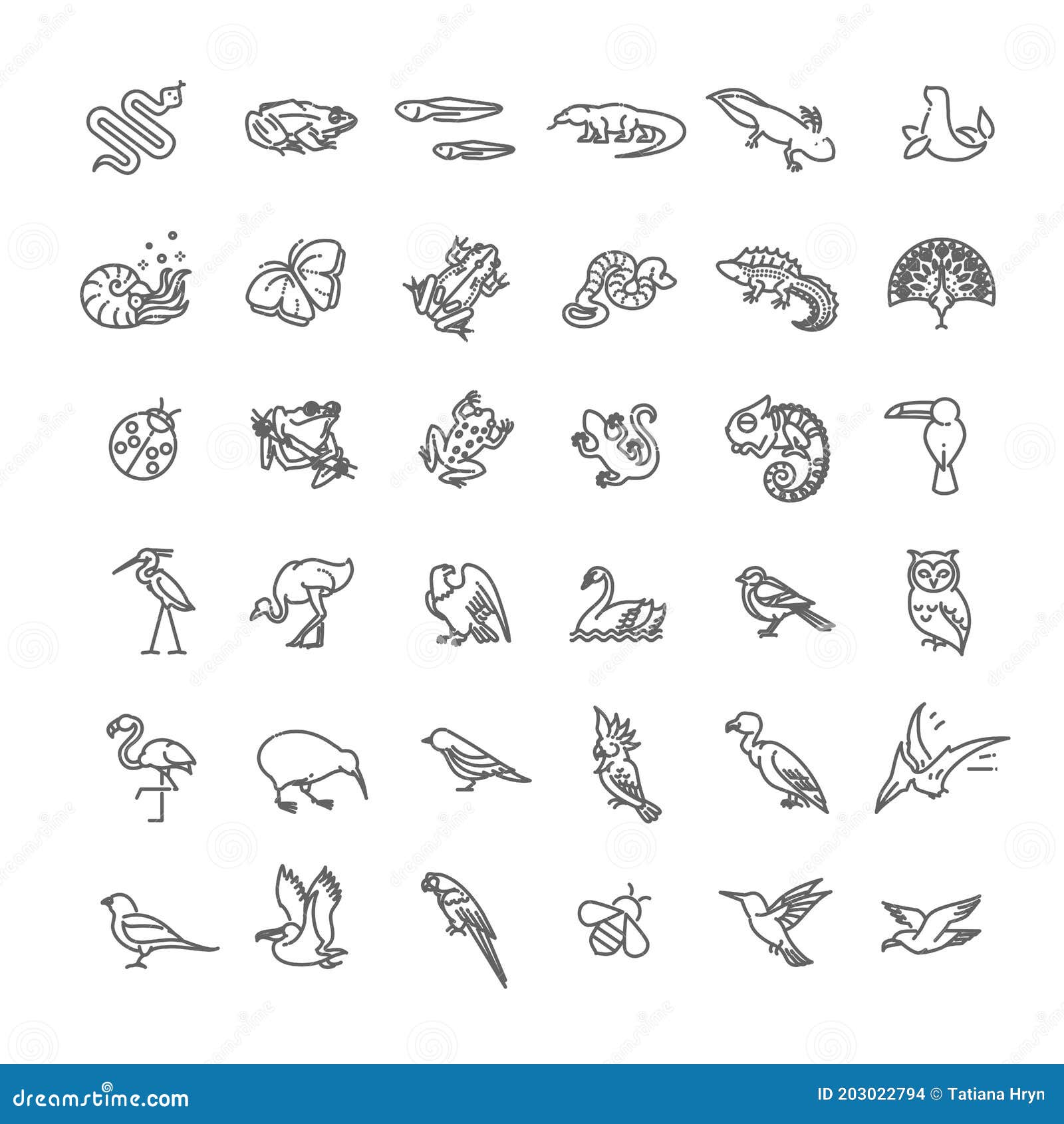 Line Animals Concepts, Vector Icons Set Stock Vector - Illustration of ...