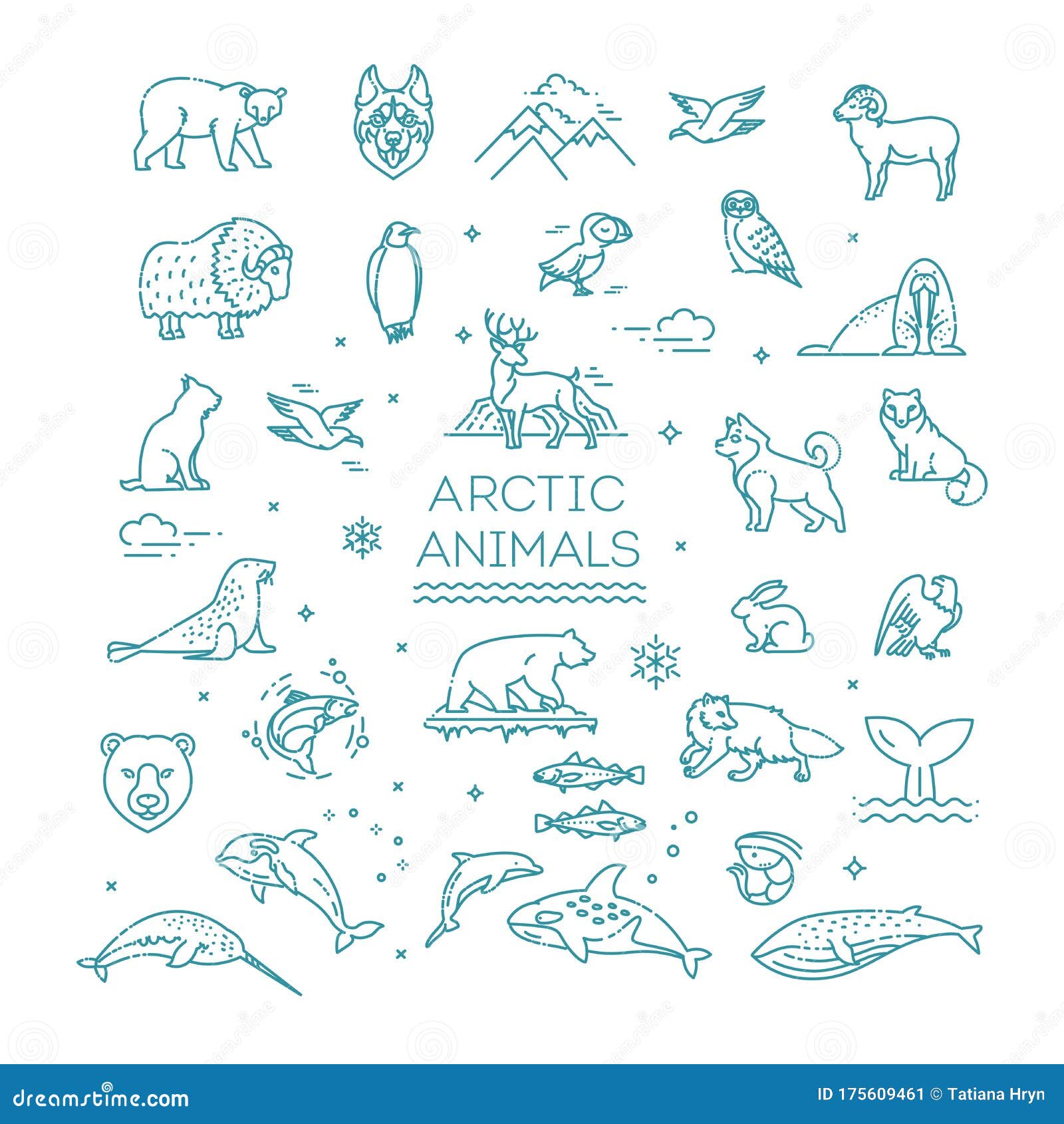 Set of Linear Vector Arctic Animals. Vector Stock Vector - Illustration ...
