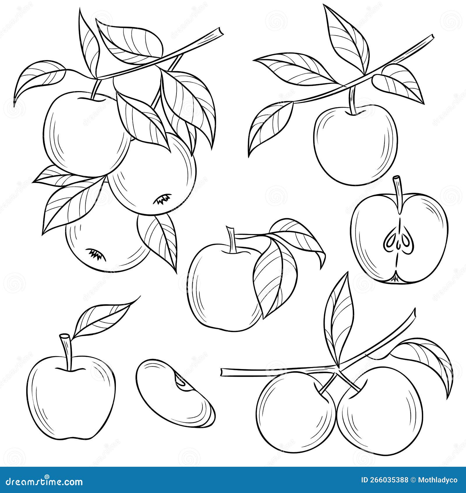Line Art Apple Vector Illustration Stock Vector - Illustration of ...