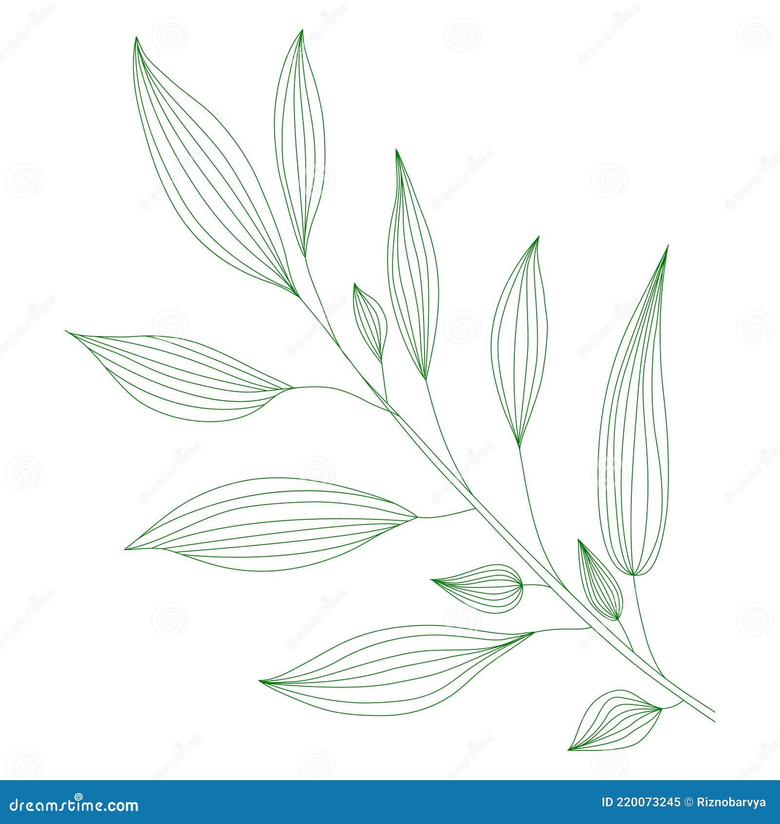 Line Art Branch with Leaves. Vector Minimalist Outline Illustration ...