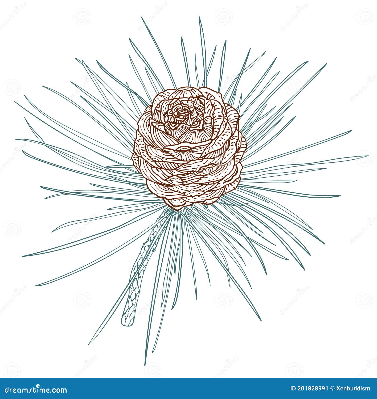 Line Art Cedar Branch with Cone Stock Illustration - Illustration of ...