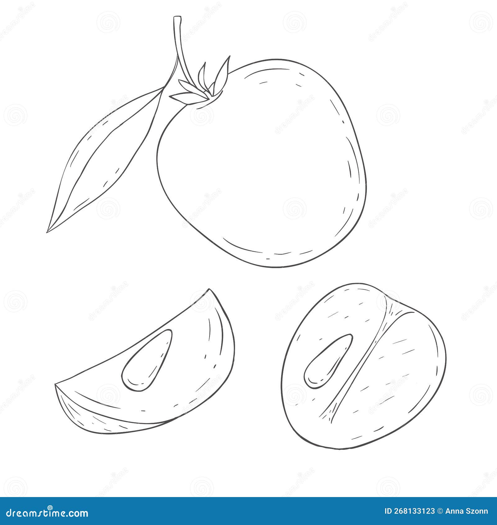 Line Art Chikoo. Vector Illustration Stock Vector - Illustration of ...