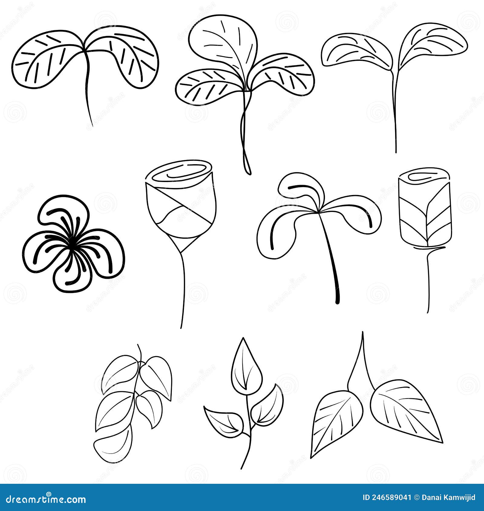 Line art elements. stock illustration. Illustration of graphic - 246589041