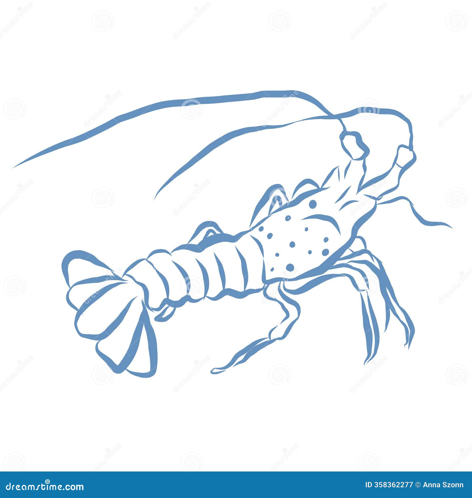 Line Art Illustration of Lobster. Vector Stock Vector - Illustration of ...